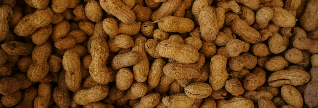 8 Common Types of Nuts to Try For Malaysians | Essentials
